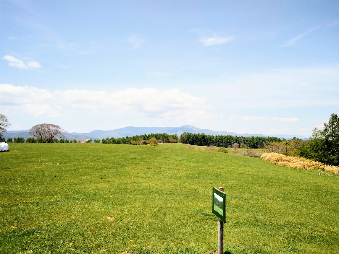 original_b6a63014-f986-43d1-a0ac-437d4373c3e6_IMG_20220518_112609 - 不動産ご売却と相続全般のお悩み解決なら。